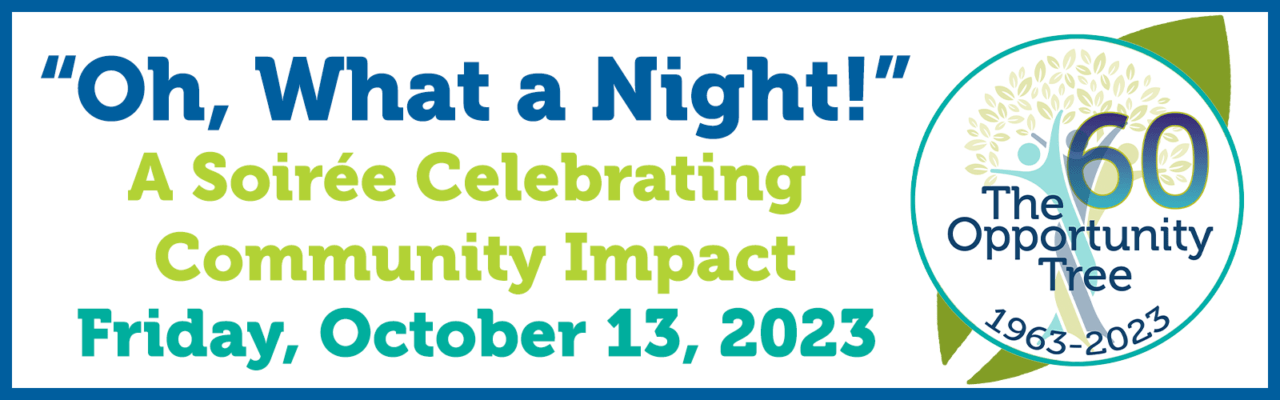 Services for Individuals with Intellectual & Developmental Disabilities ...