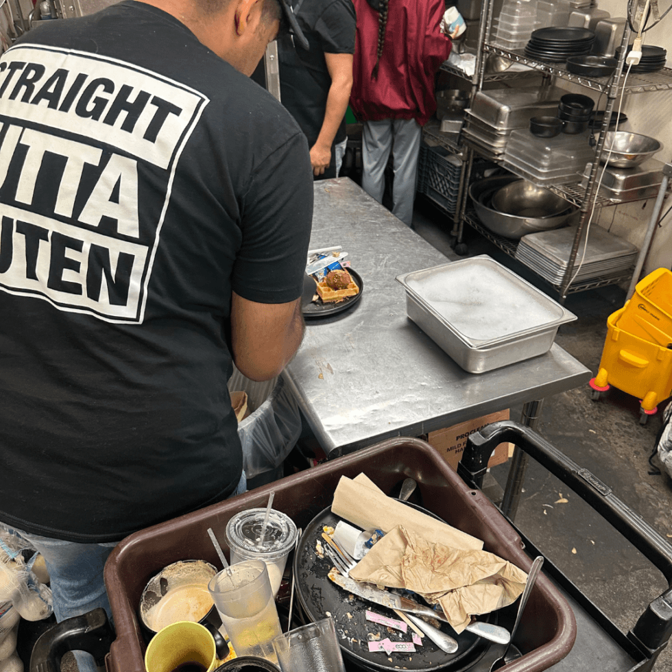 Miguel’s path to competitive integrated employment - The Opportunity Tree